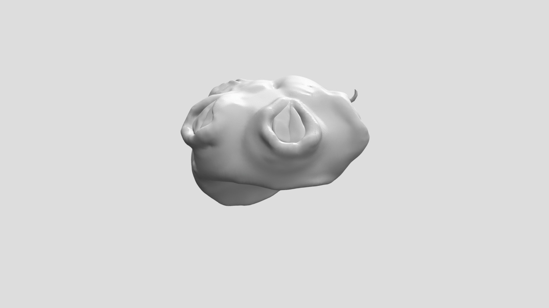 Barnacles - 3D model by juliarpetro [3acffea] - Sketchfab
