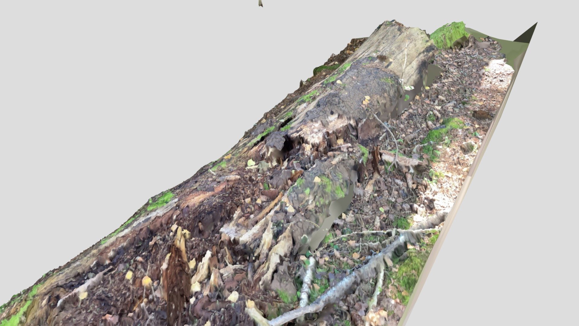 Tree Log - Forest - Download Free 3D model by Majzim [3ad06e9] - Sketchfab