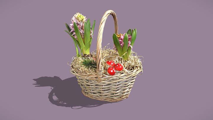 Hyacinth 3D models - Sketchfab