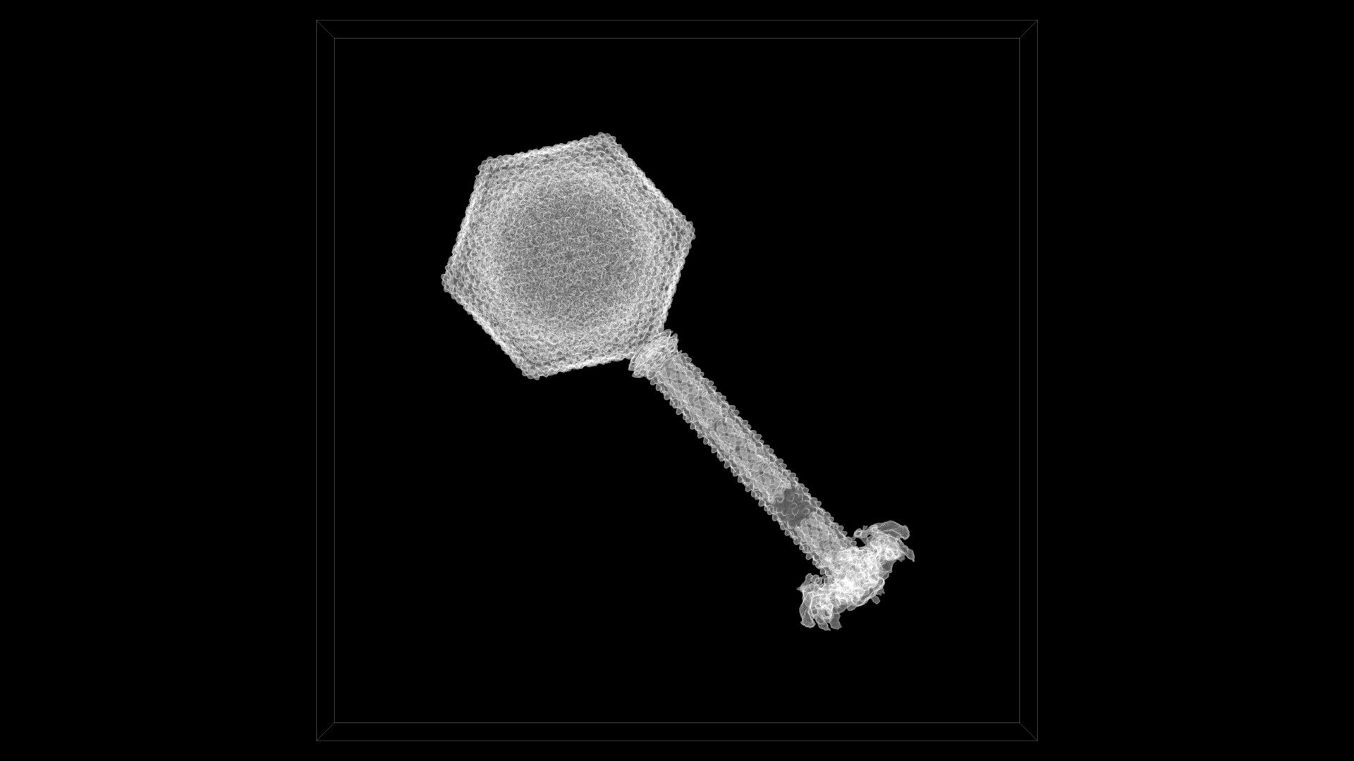 1128 Phage 3 - 3D model by Crystal Proteins (@bathsheba) [3adfbba ...