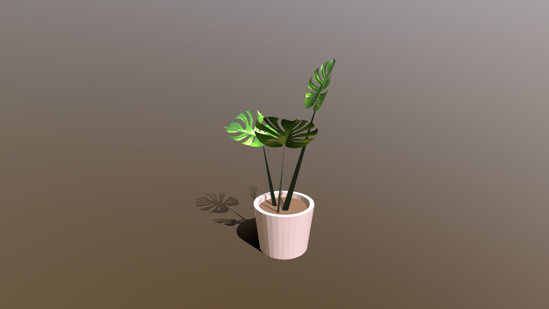 plant - 3D model by Romy (@Romyvr) [3ae1e11] - Sketchfab