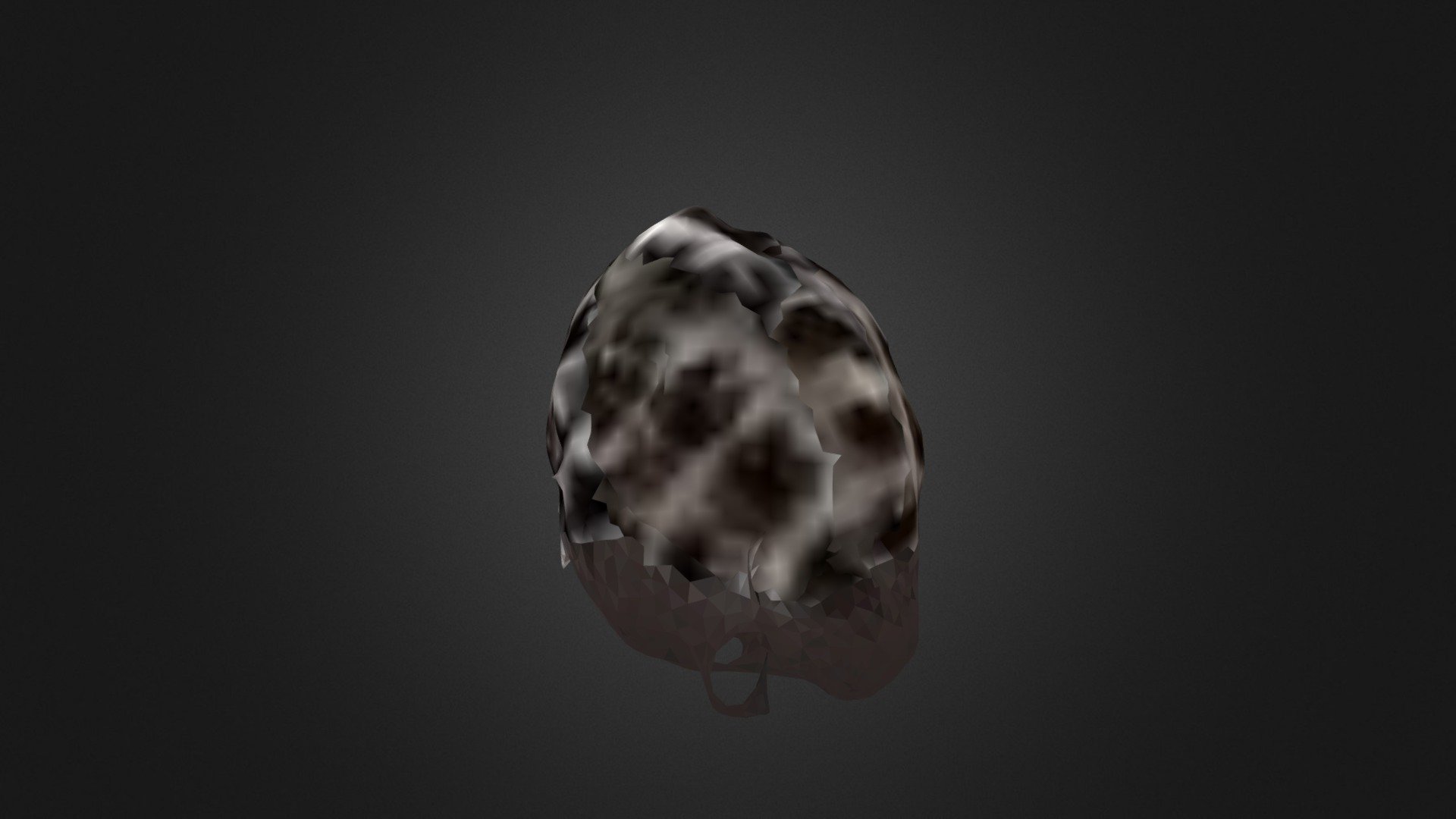Morula marginalba (de Blainville, 1832) - 3D model by 3D collection ...
