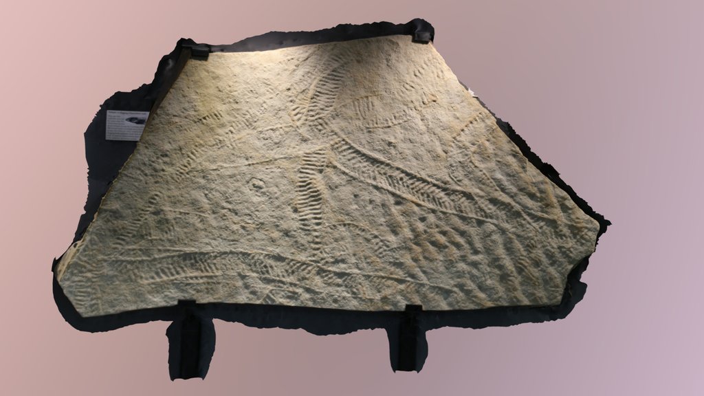 Sedimentary Structures — A 3D model collection by Structural Modelling ...