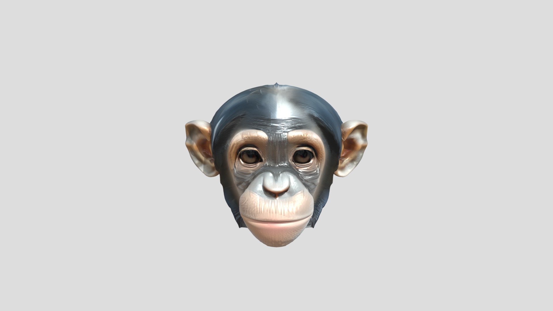 Baby chimpanzee's face - 3D model by josete79penas [3af2fb1] - Sketchfab
