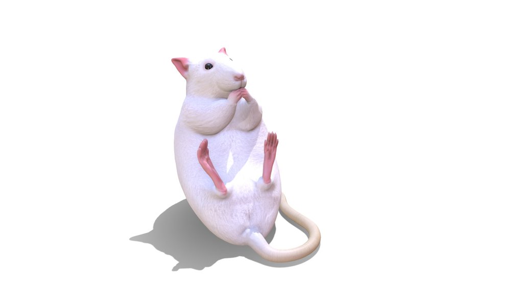 rattatoi - A 3D model collection by kasperkilde2 - Sketchfab