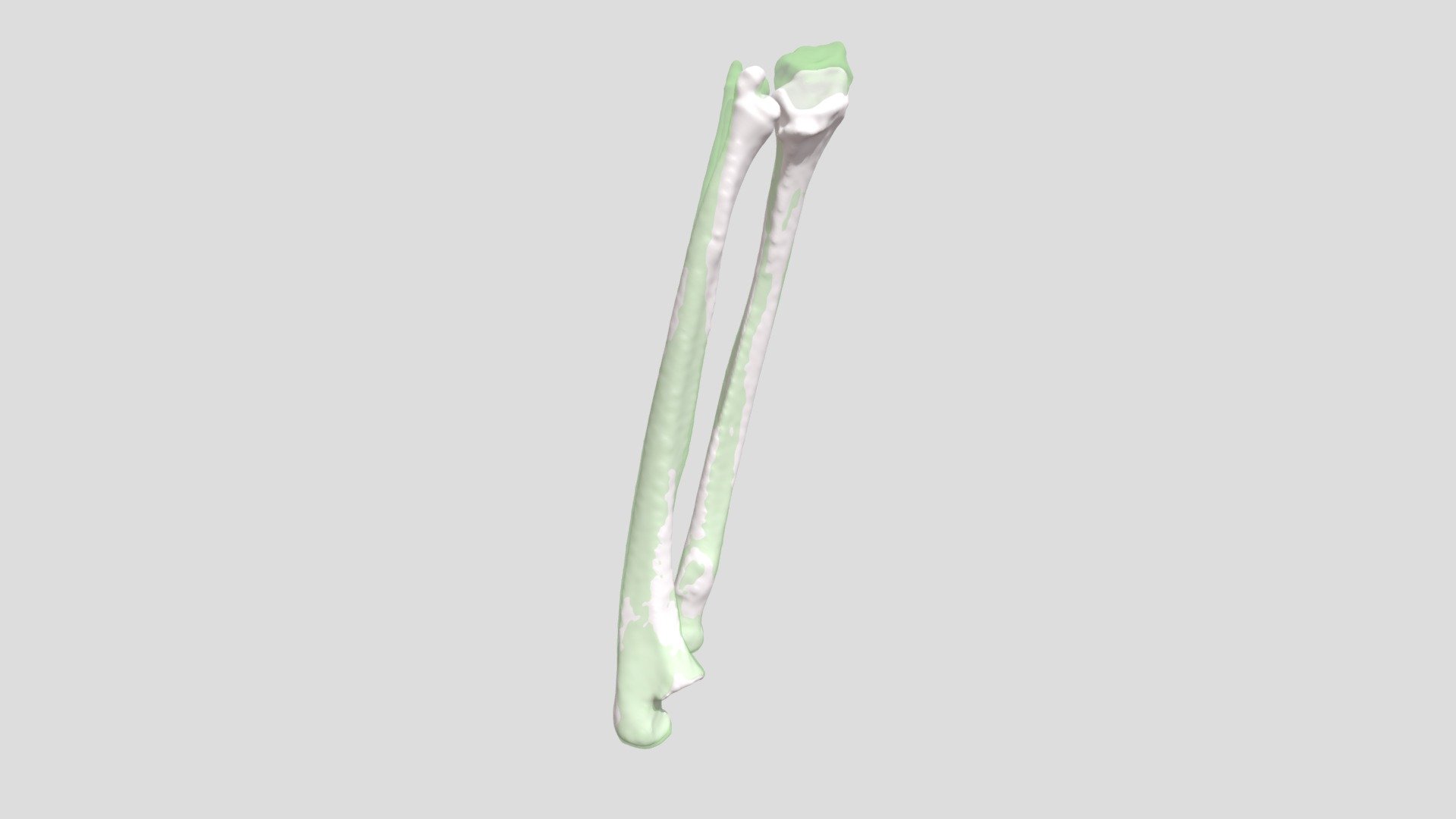 050 - Smol Ji - 3D model by karel.penicka [3af8b45] - Sketchfab