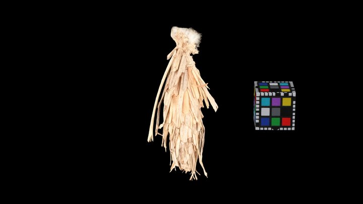 Moth 3D models - Sketchfab