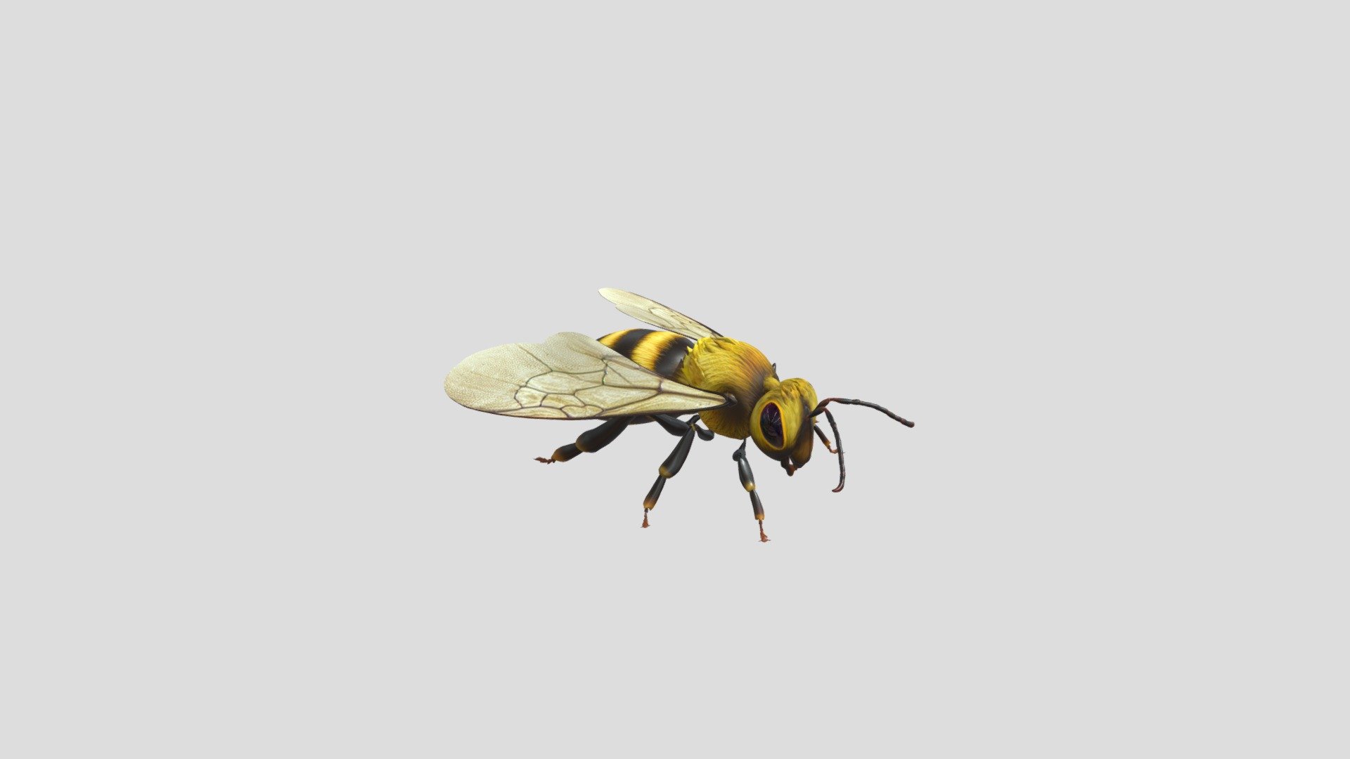 Bee - 3D model by deerdesign.vn [3b092a9] - Sketchfab