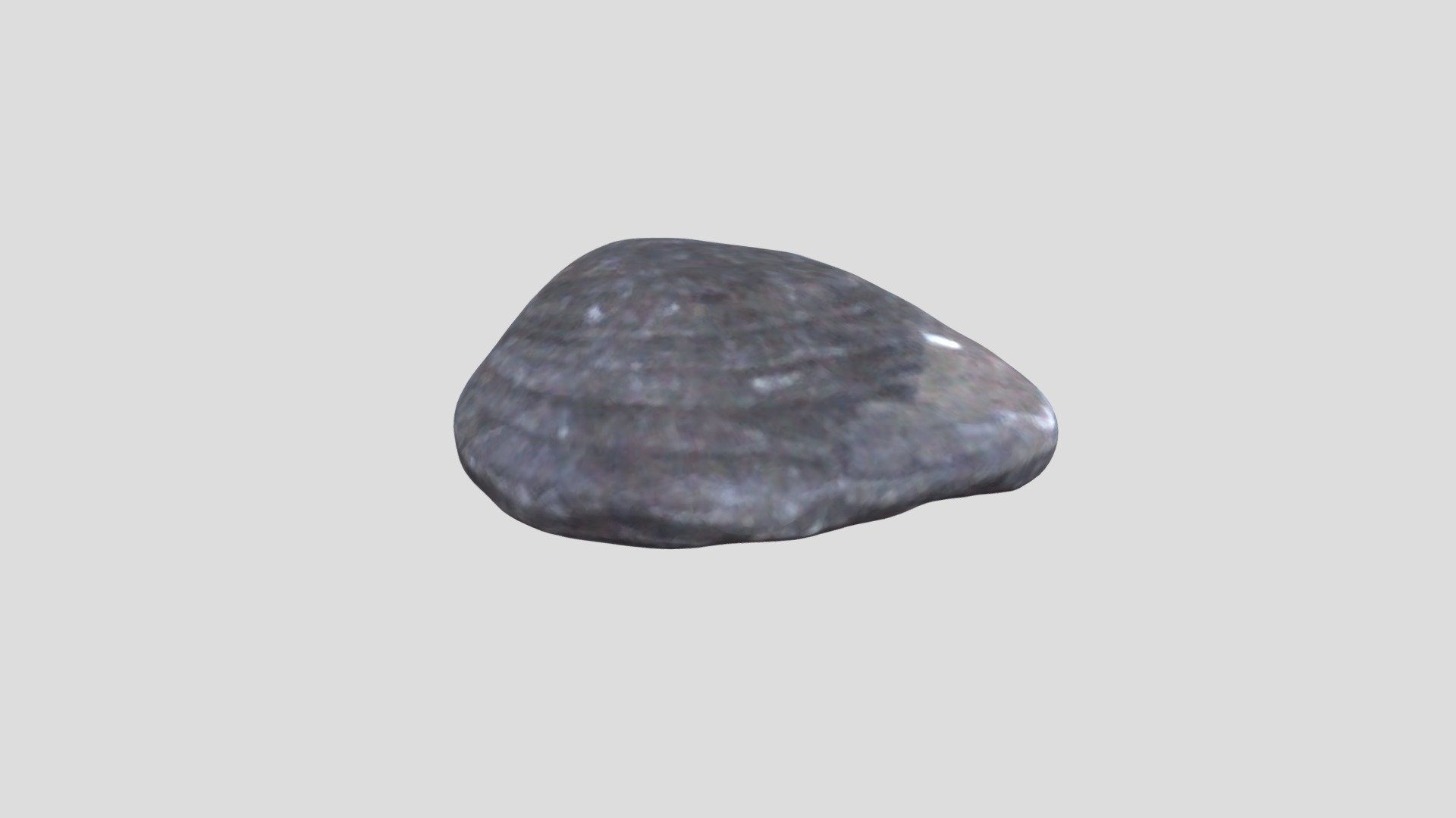 Cardinia sp. - fossil - Download Free 3D model by Chapel_Prints_CO ...