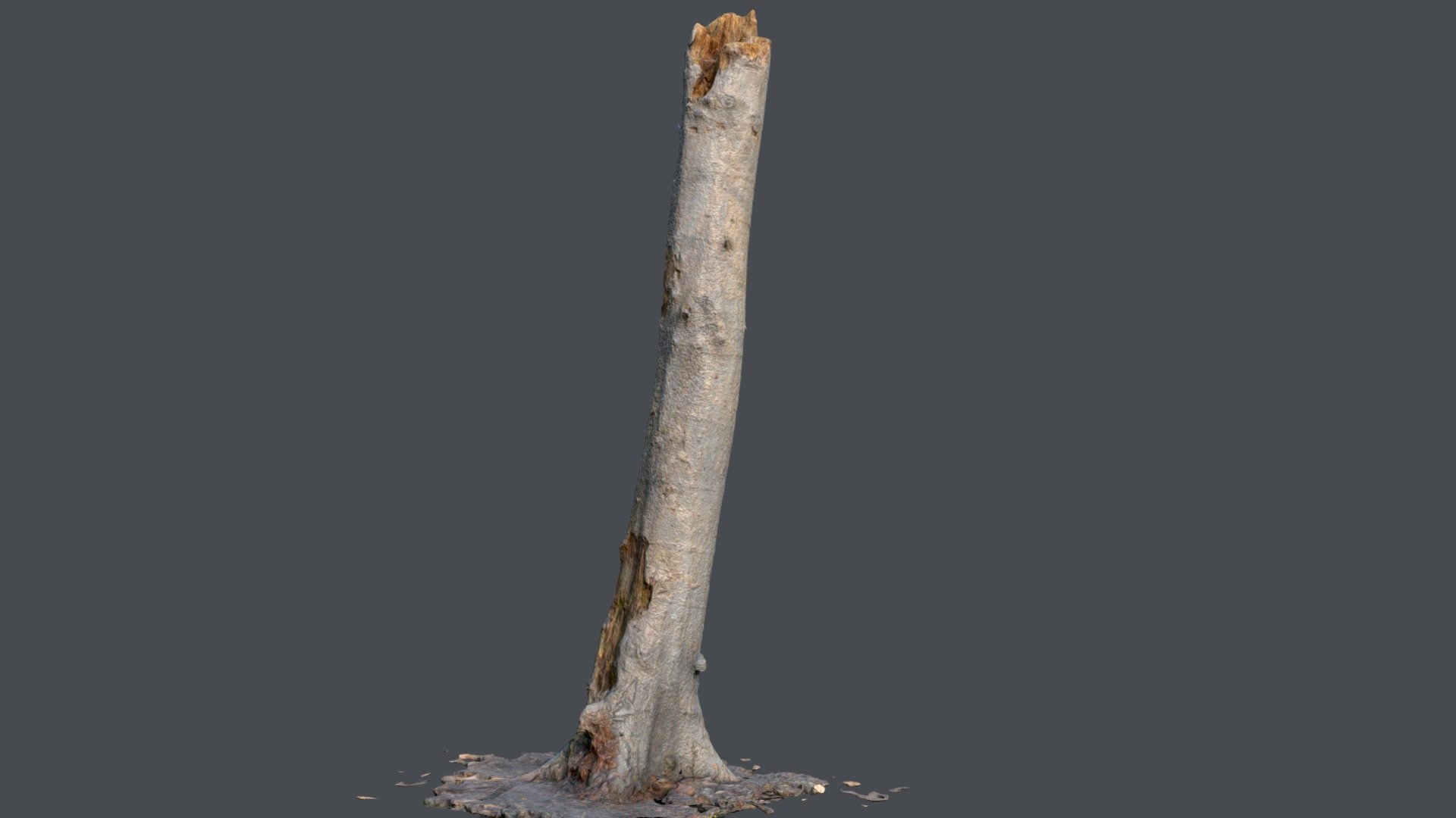 Tree trunk 01 - Download Free 3D model by Gustav Boye (@BoyeVisuals ...