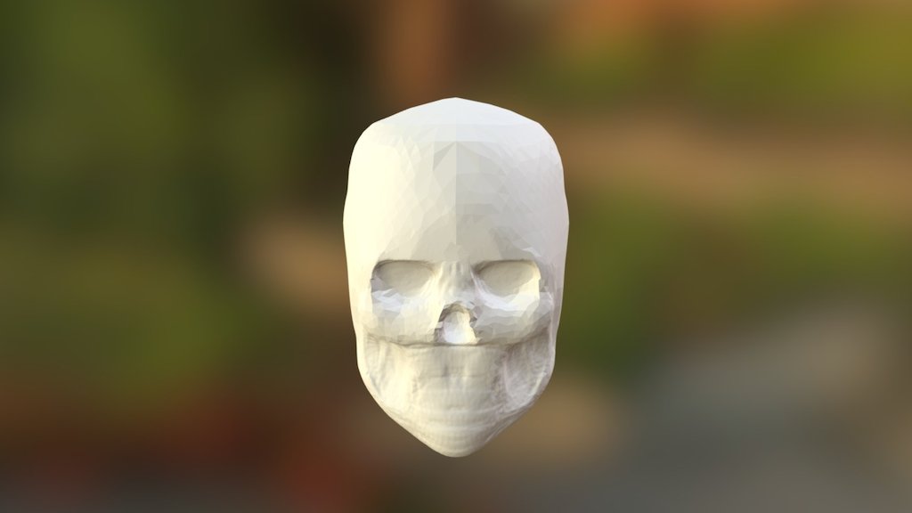 Cranio - 3D model by jbarcela [3b135b3] - Sketchfab