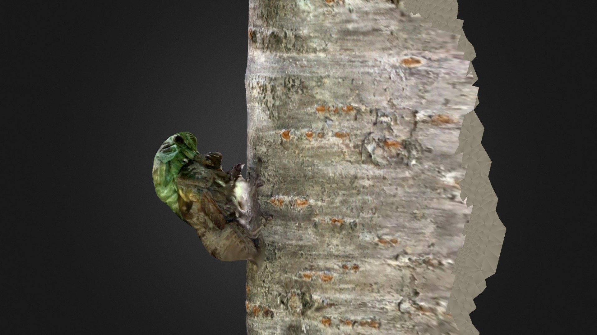 Emerging Cicada - Download Free 3D model by Terrie (@terrielsimmons ...