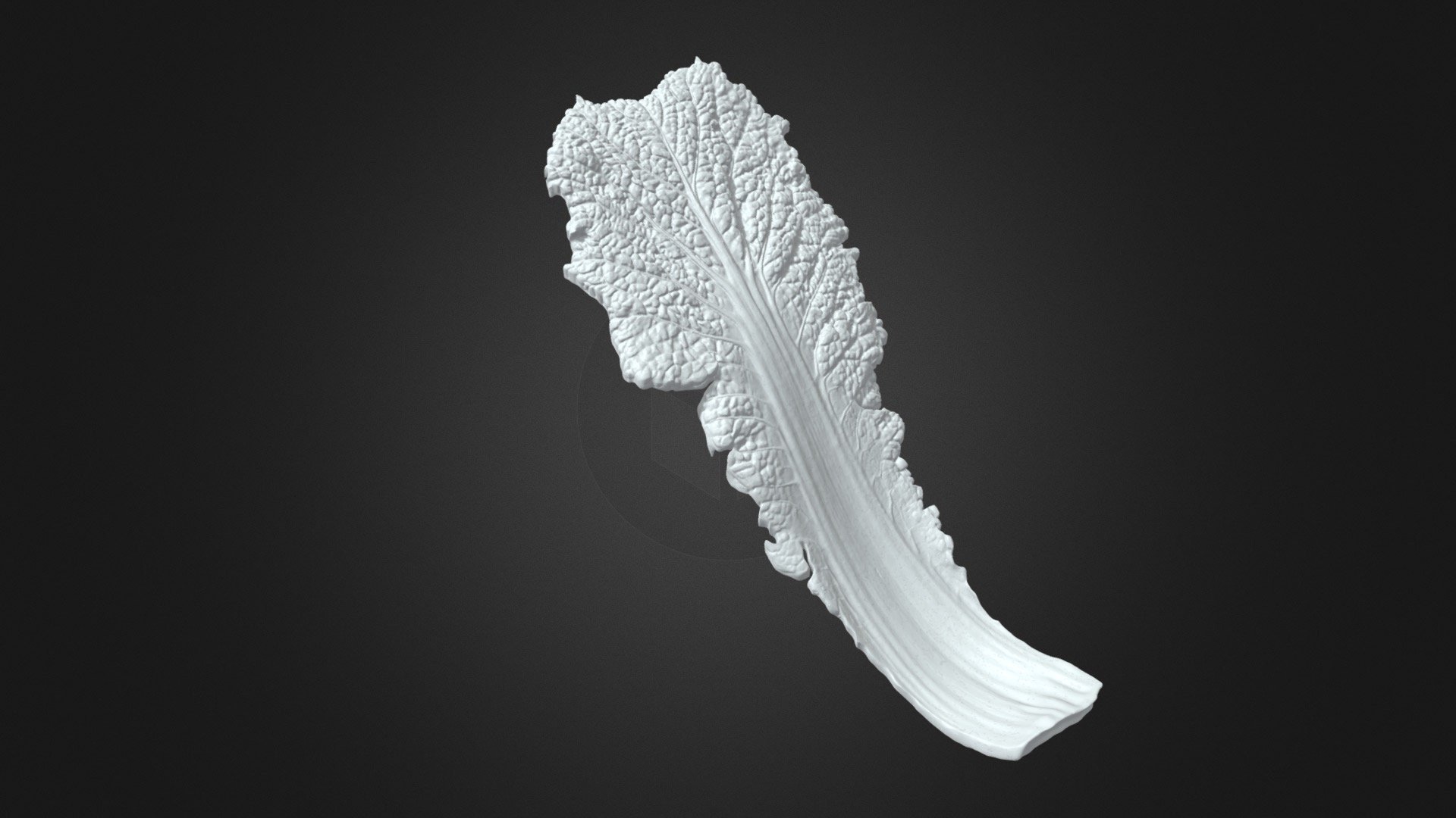 Cabbage Leaf3_ Printable - 3D model by Capture It In 3D (@CaptureMeIn3D ...