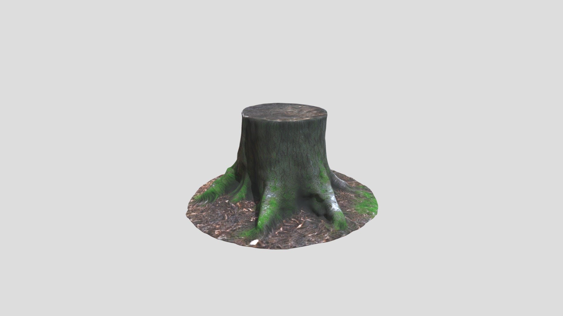 Tree Stump H - Download Free 3D model by stefanorivera [3b1d7c1 ...