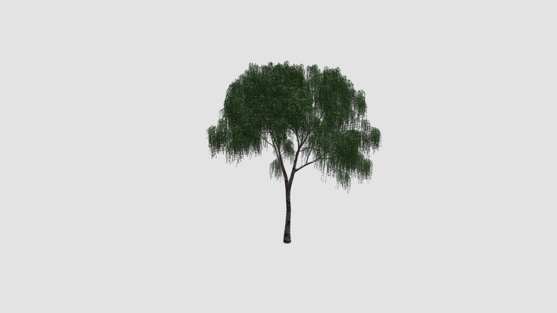 tree - Buy Royalty Free 3D model by Evermotion [3b26703] - Sketchfab Store