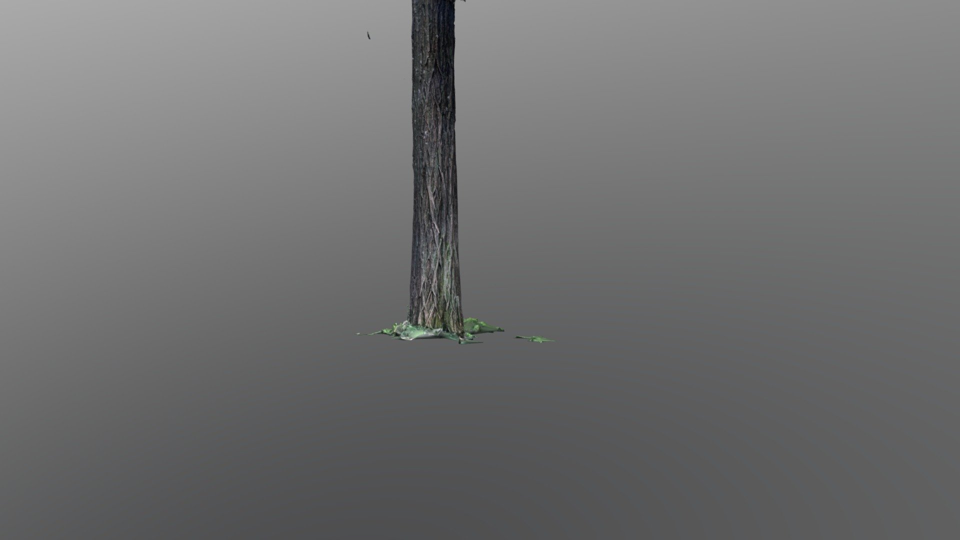 Tree - 3D model by Rottv [3b2bcac] - Sketchfab