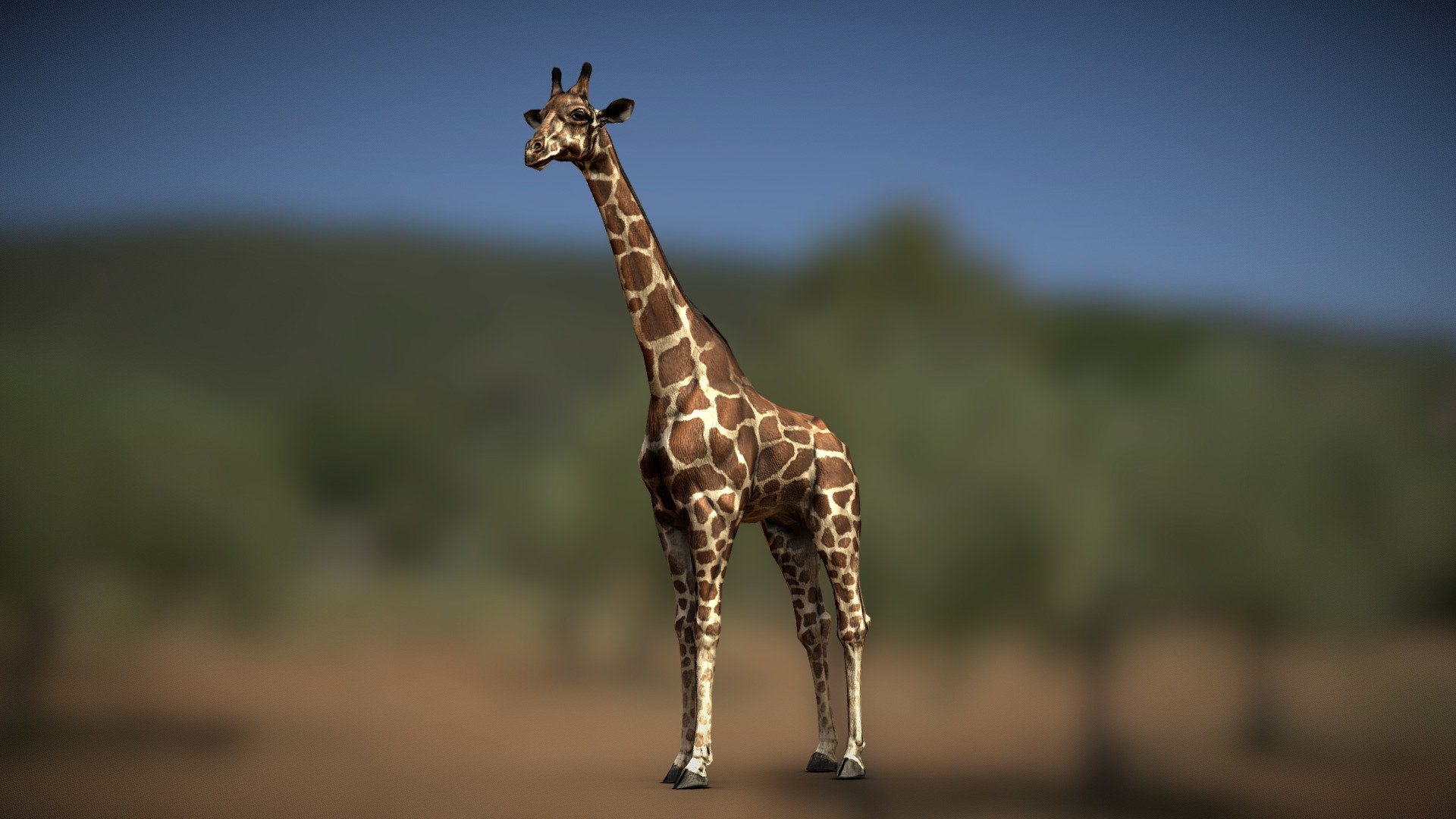 Giraffe (Giraffa camelopardalis) - 3D model by 3dbogi [3b2c6e2] - Sketchfab