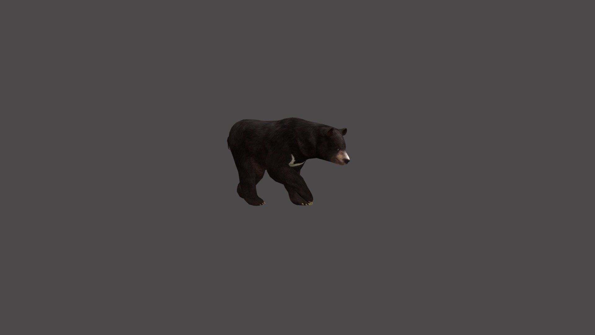 bear_walk - 3D model by sixuan [3b2cf53] - Sketchfab