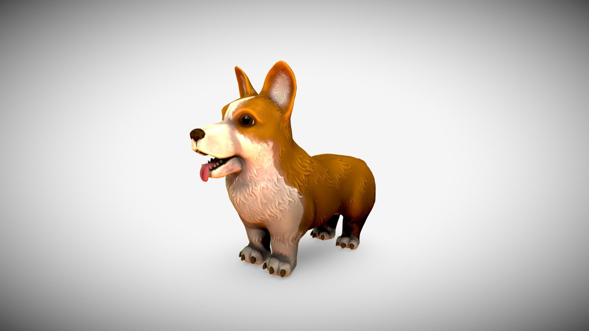 Corgi - 3D model by disfixional [3b338cd] - Sketchfab