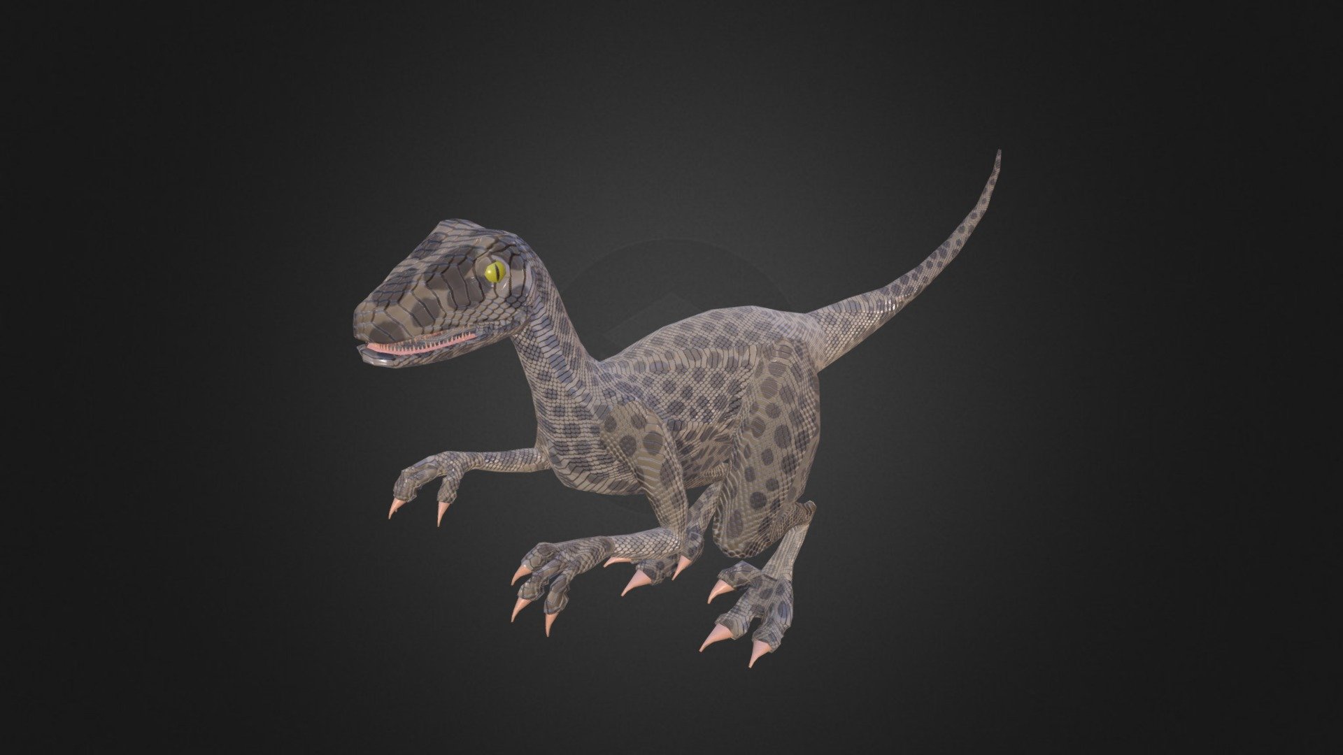 Raptor - 3D model by MaryFox (@brezhnieva) [3b3705a] - Sketchfab