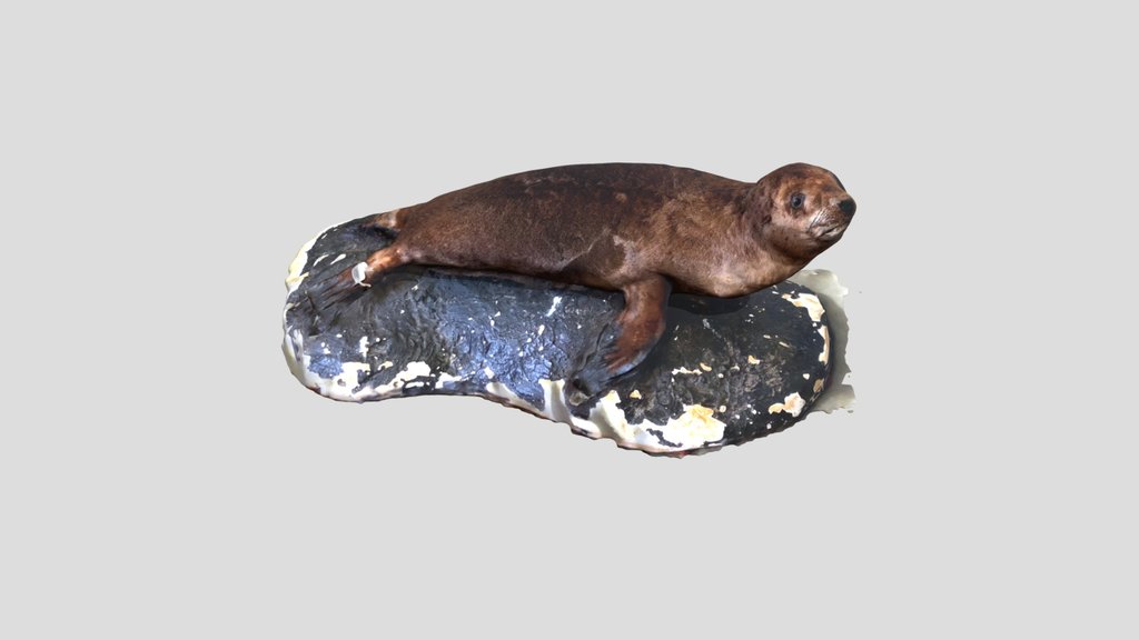 Creatures - A 3D model collection by bananazapples - Sketchfab