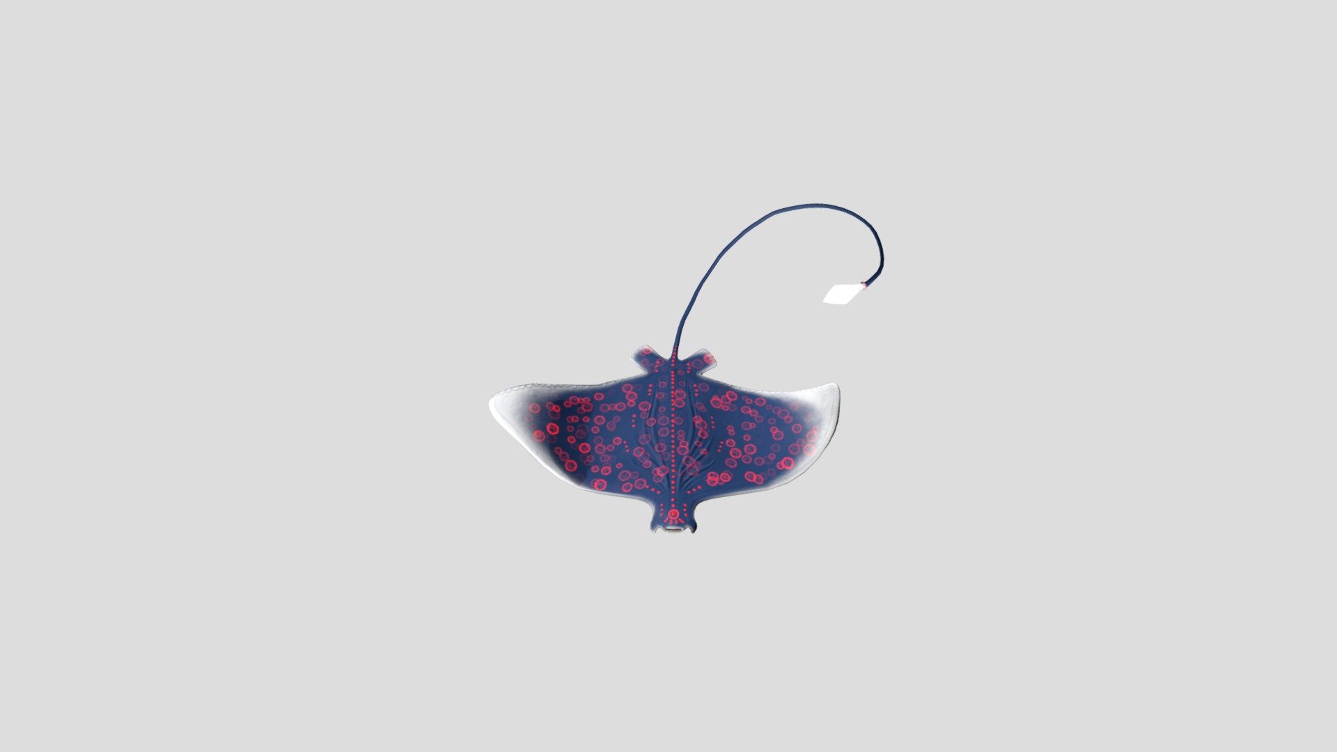 Fish - Textures - Download Free 3D model by Sinomedet [3b489d6] - Sketchfab