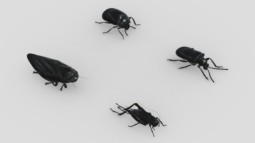INSECT-BUGS - A 3D model collection by NathanVidd - Sketchfab
