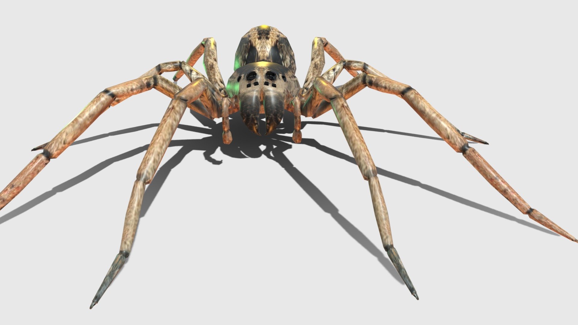 Spider - Rigged - Download Free 3D model by MHKstudio [3b555df] - Sketchfab
