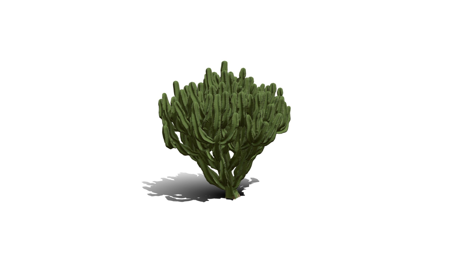 Realistic HD Candelabra tree (28/40) - Buy Royalty Free 3D model by ...