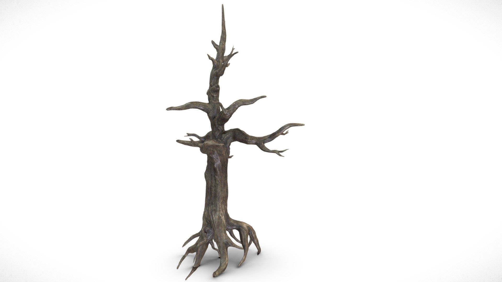 Fantasy Dark Forest - Scary Dead Tree C - Buy Royalty Free 3D model by ...