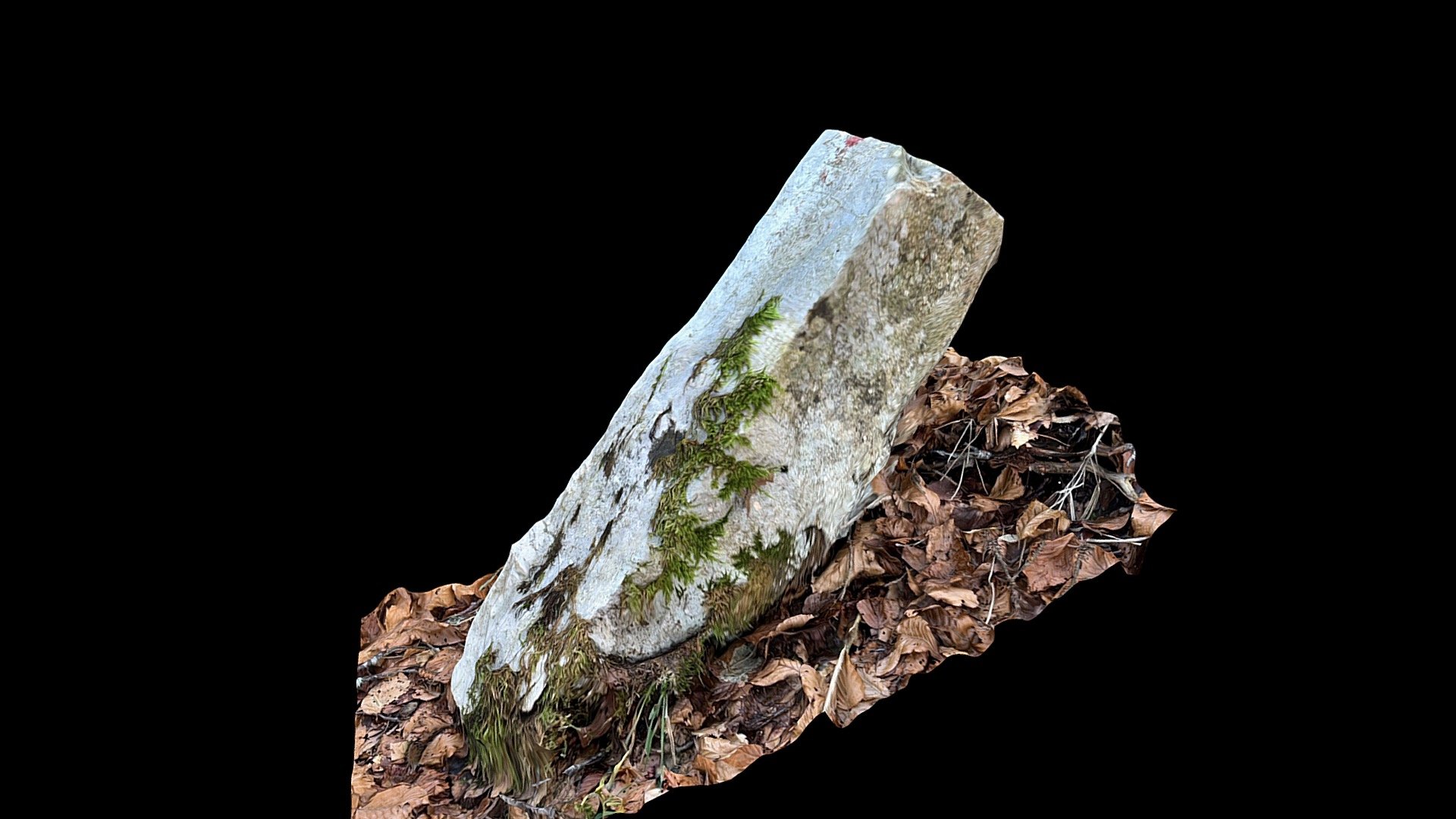 borNE.NEUC-VOMA.f - Download Free 3D model by clwacker [3b5f482 ...
