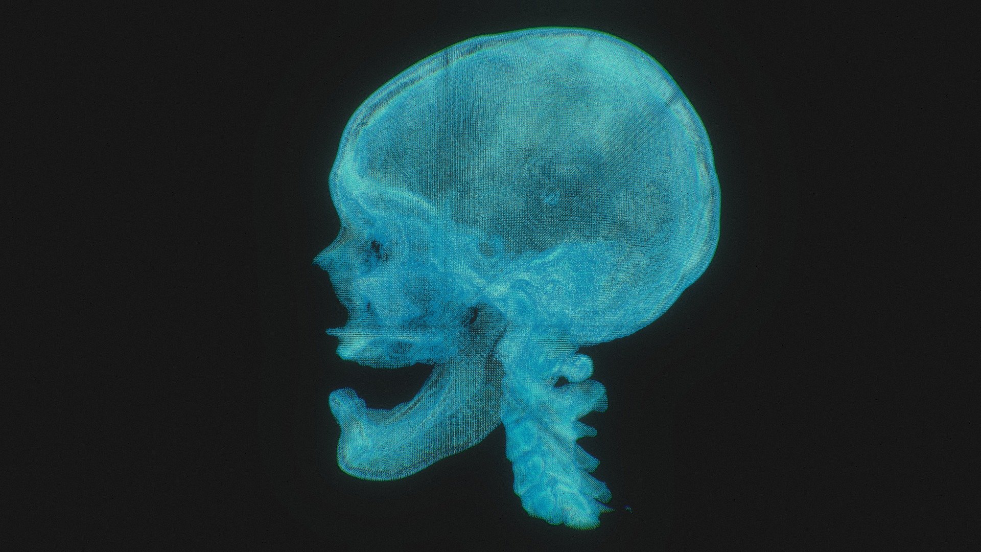 Skull Point to Cloud - Download Free 3D model by Yaapi [3b6368d ...