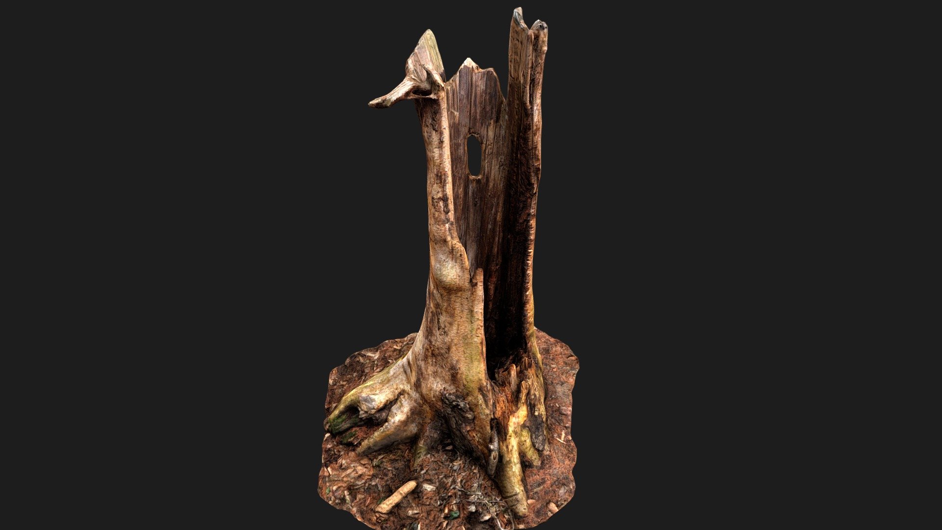 Tree With Hole 4K texture - Download Free 3D model by imonm9 [3b73d4b ...