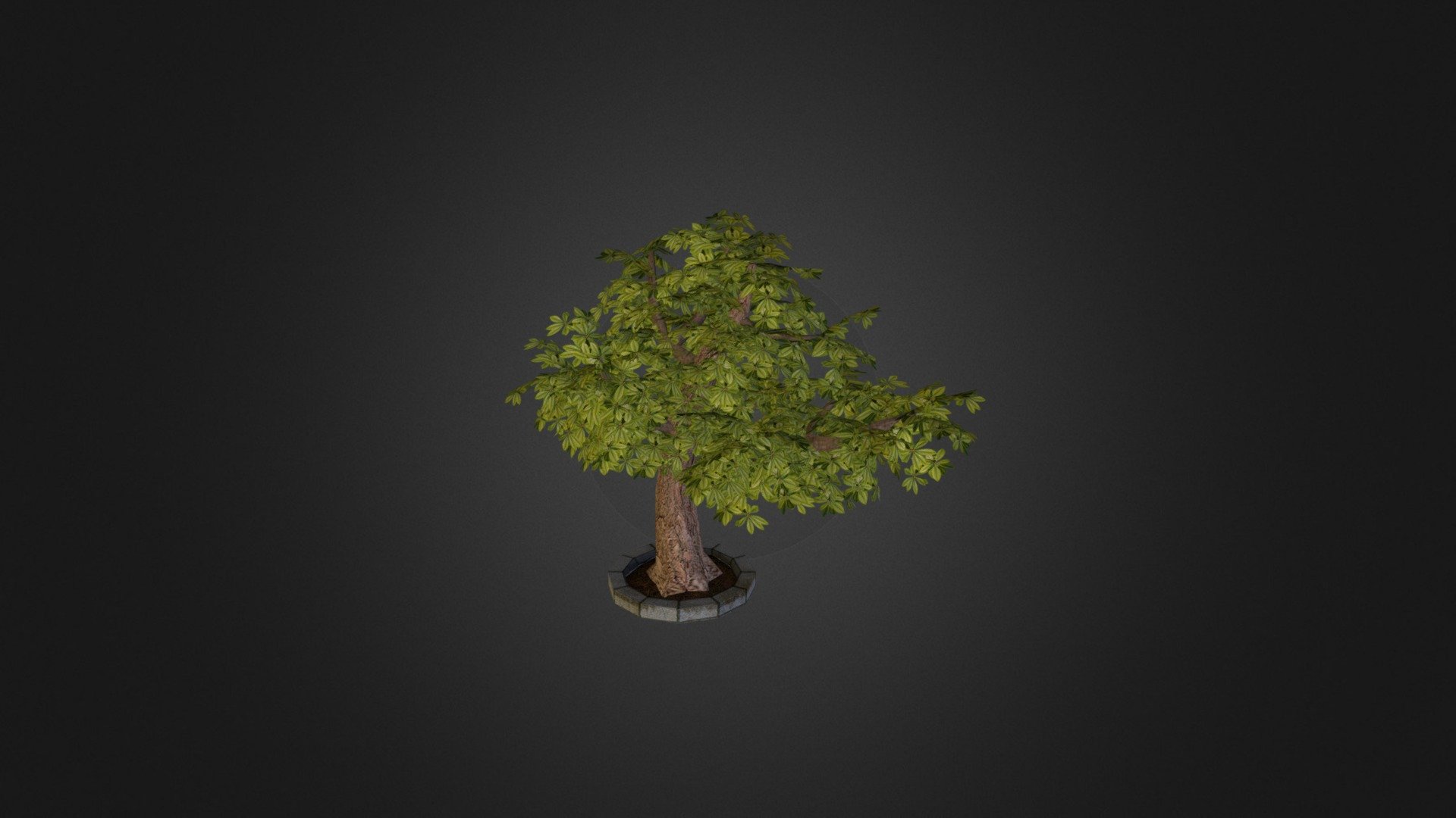 olive tree - 3D model by Ada Cattoir (@adacattoir) [3b76373] - Sketchfab