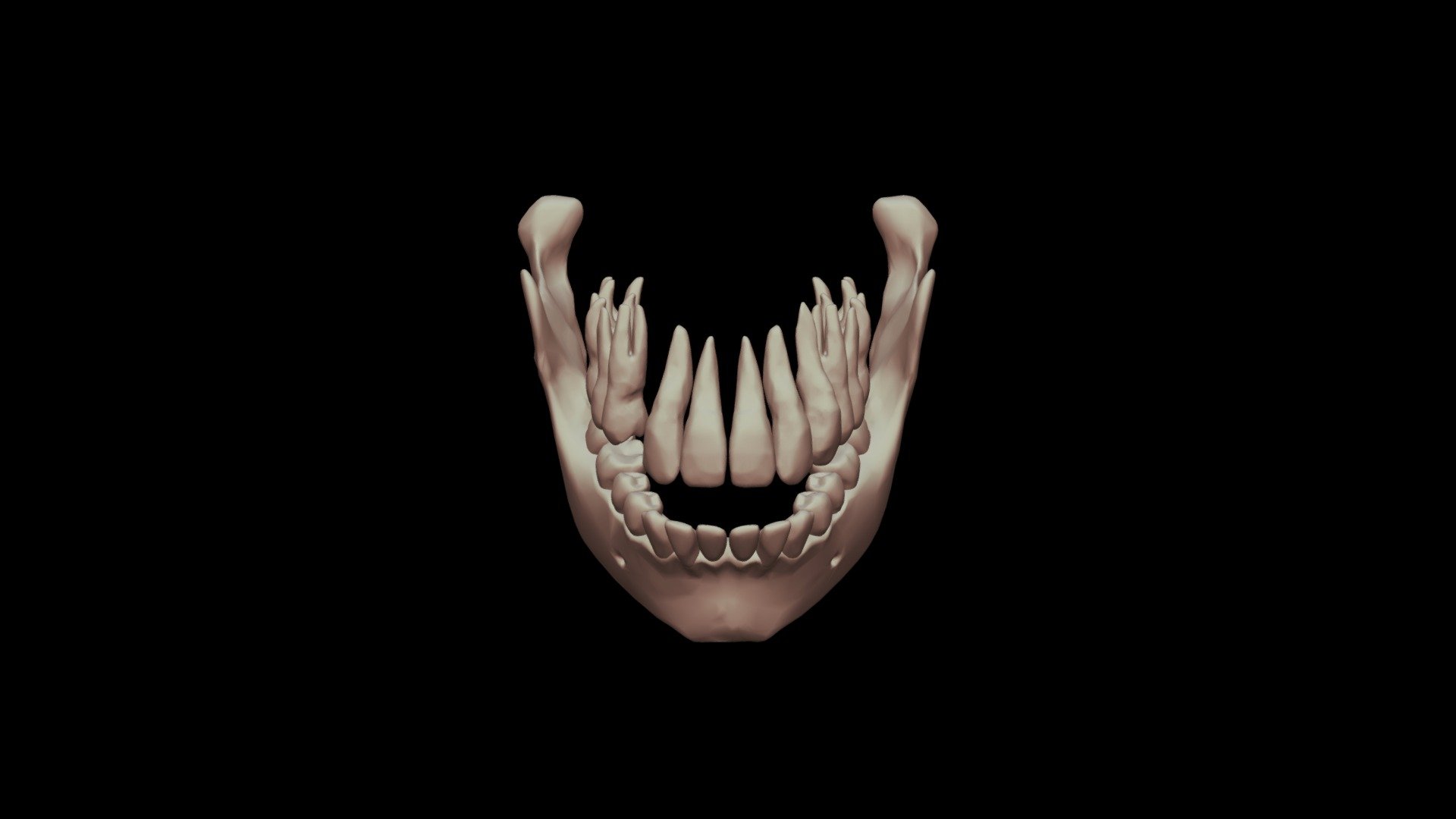 Mandibula. - 3D model by Juan I. Cruz R. Smart Anatomy ® (@juigcrra ...