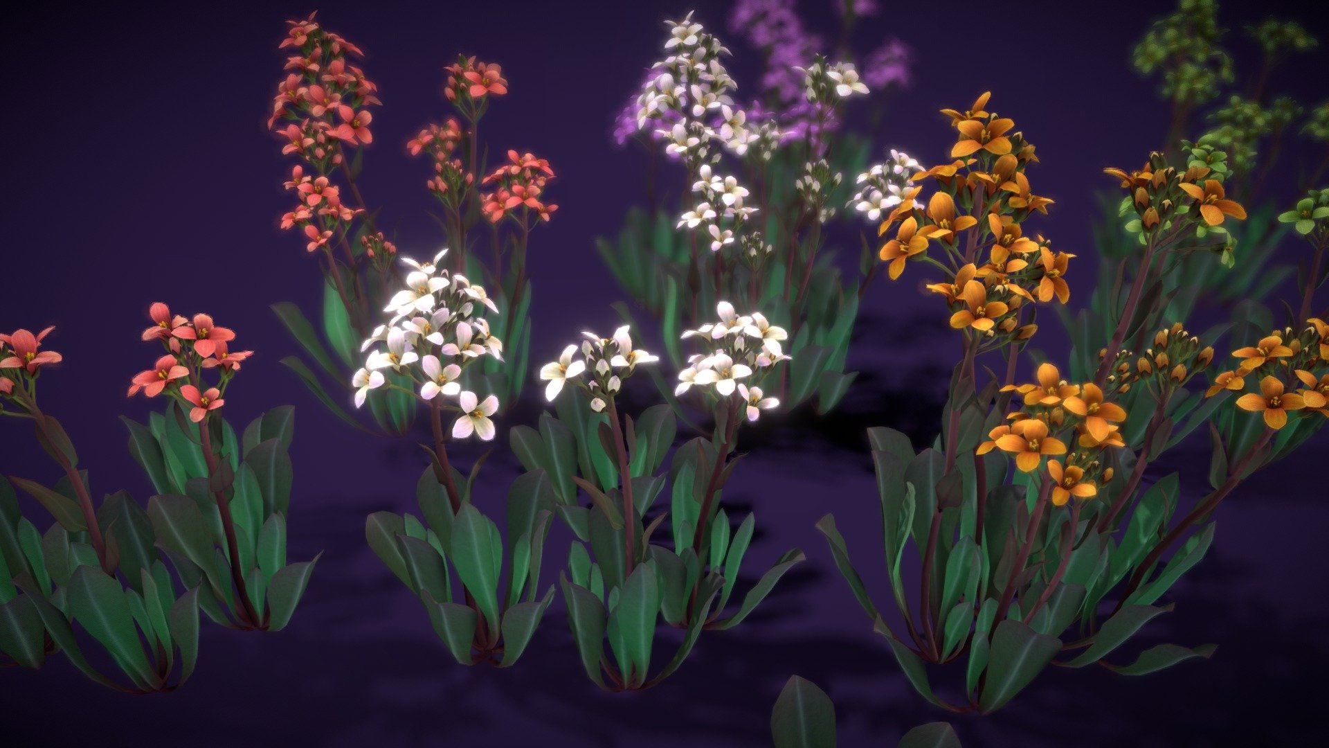 Flower Daggerpod - Buy Royalty Free 3D model by vustudios [3b8564e ...