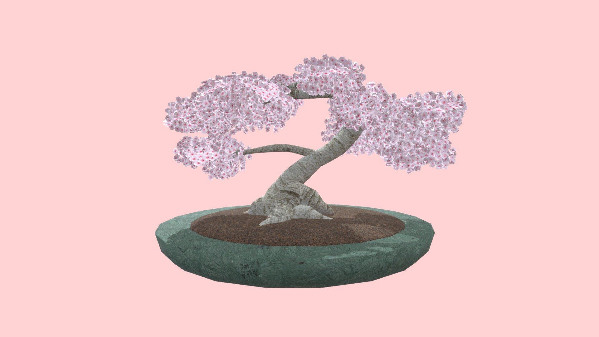 Cherry Blossom Tree - 3D model by Paulzair [3b85dc1] - Sketchfab