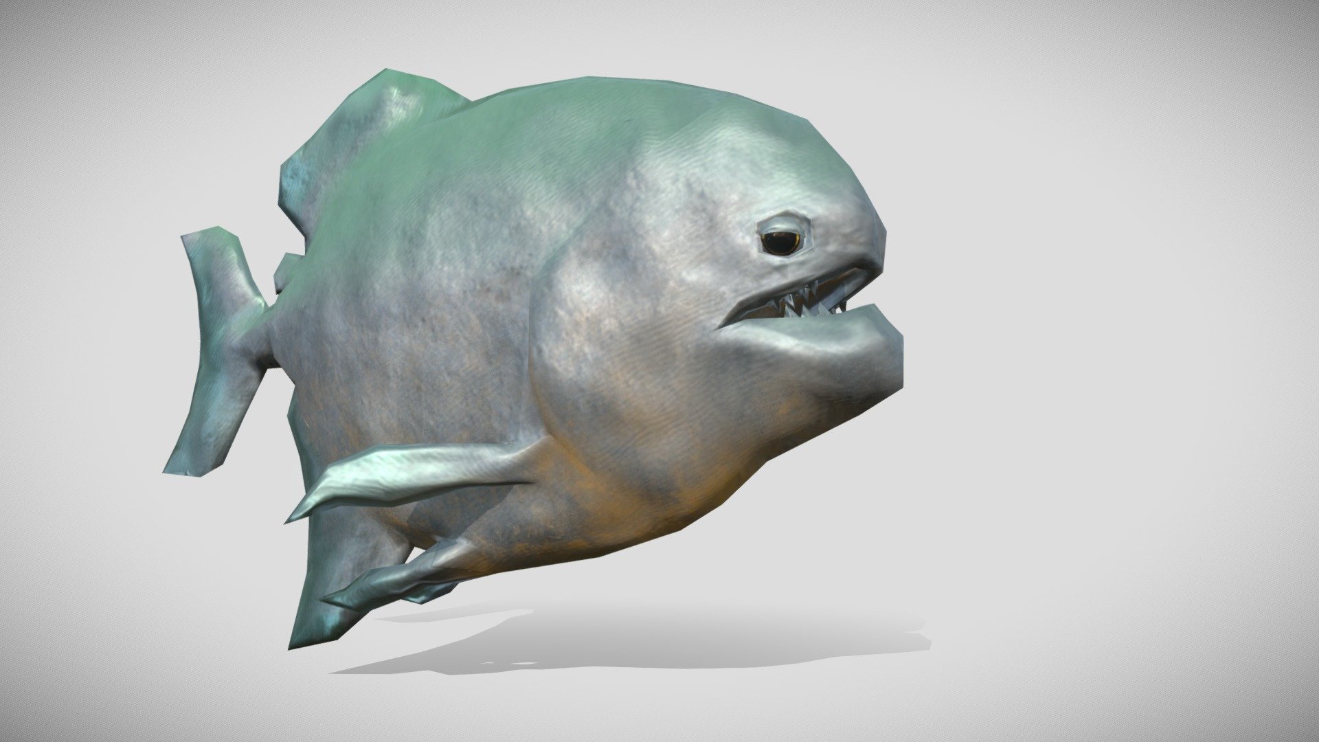 Piranha - 3D model by 890136 [3b86079] - Sketchfab