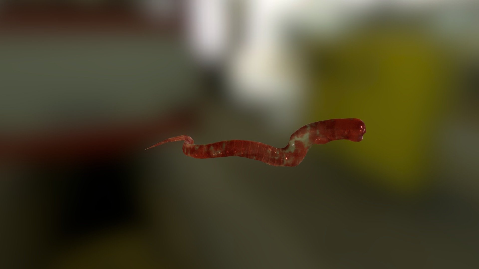 Alien Chestburster - 3D model by JesusArroyo [3b88458] - Sketchfab