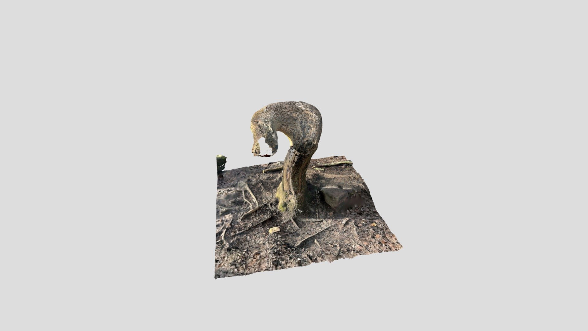 Money tree - Download Free 3D model by P0R74L [3b8ca43] - Sketchfab