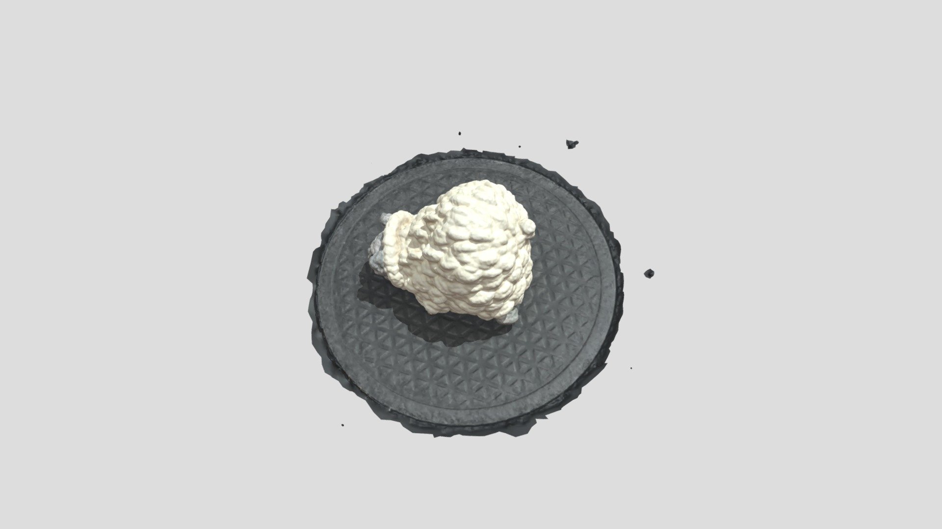 SHAWN - 3D model by trodenbe [3b90064] - Sketchfab