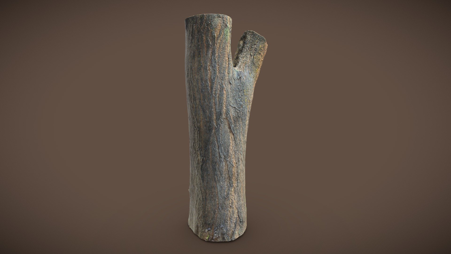 tree bark 01 scan - 3D model by Hypercube (@Hypercube3dscan) [3b93c02 ...