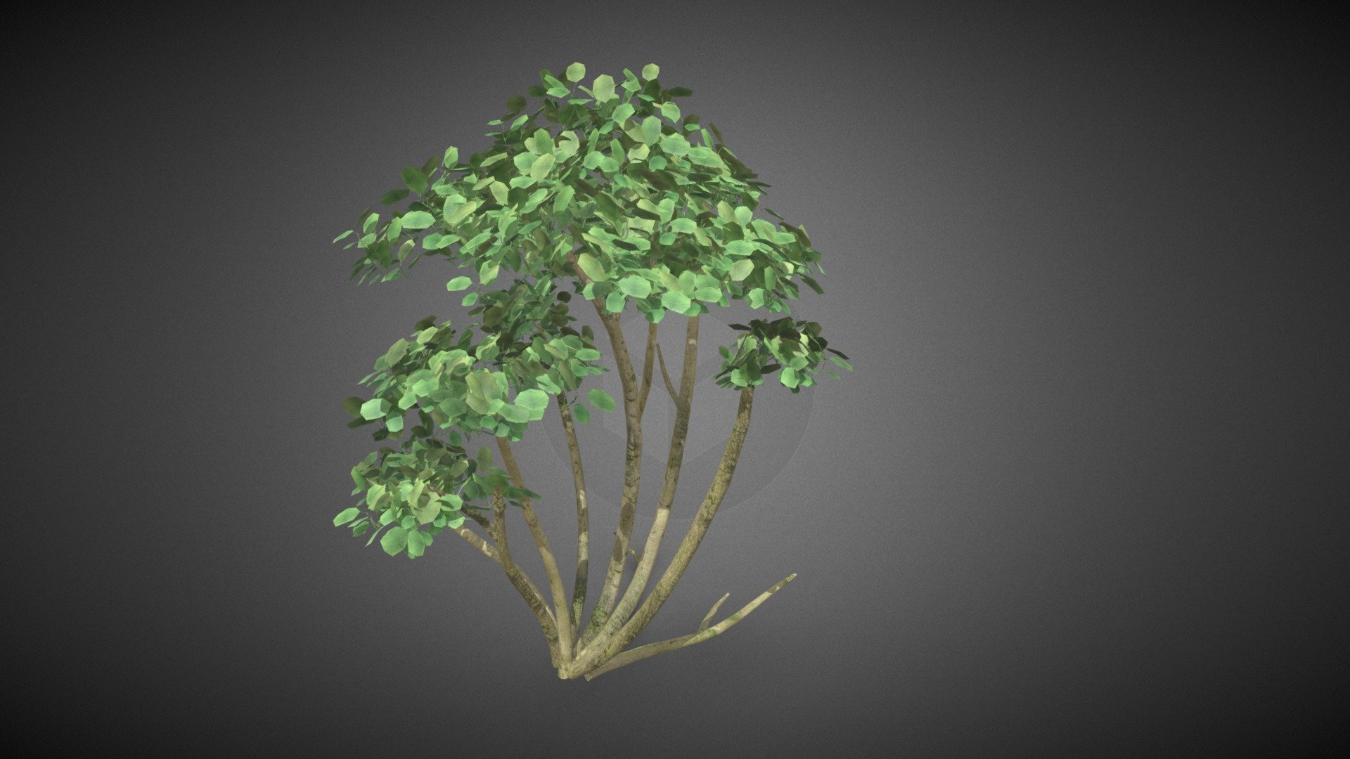 Tree shrub - Buy Royalty Free 3D model by misitewang [3b956e6 ...