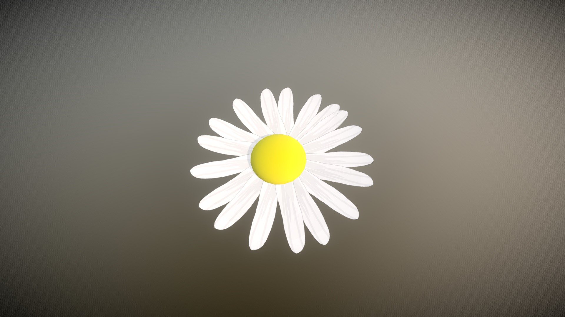 Quick Daisy Petals Test - Download Free 3D model by michaelroe [3b95e4e ...