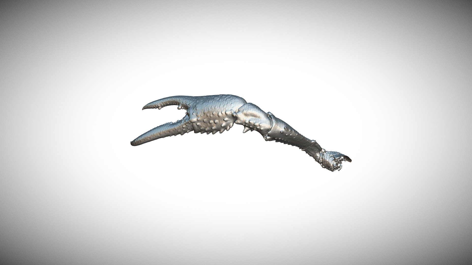 Lobster - Download Free 3D model by thunk3d.scanner [3b98eef] - Sketchfab