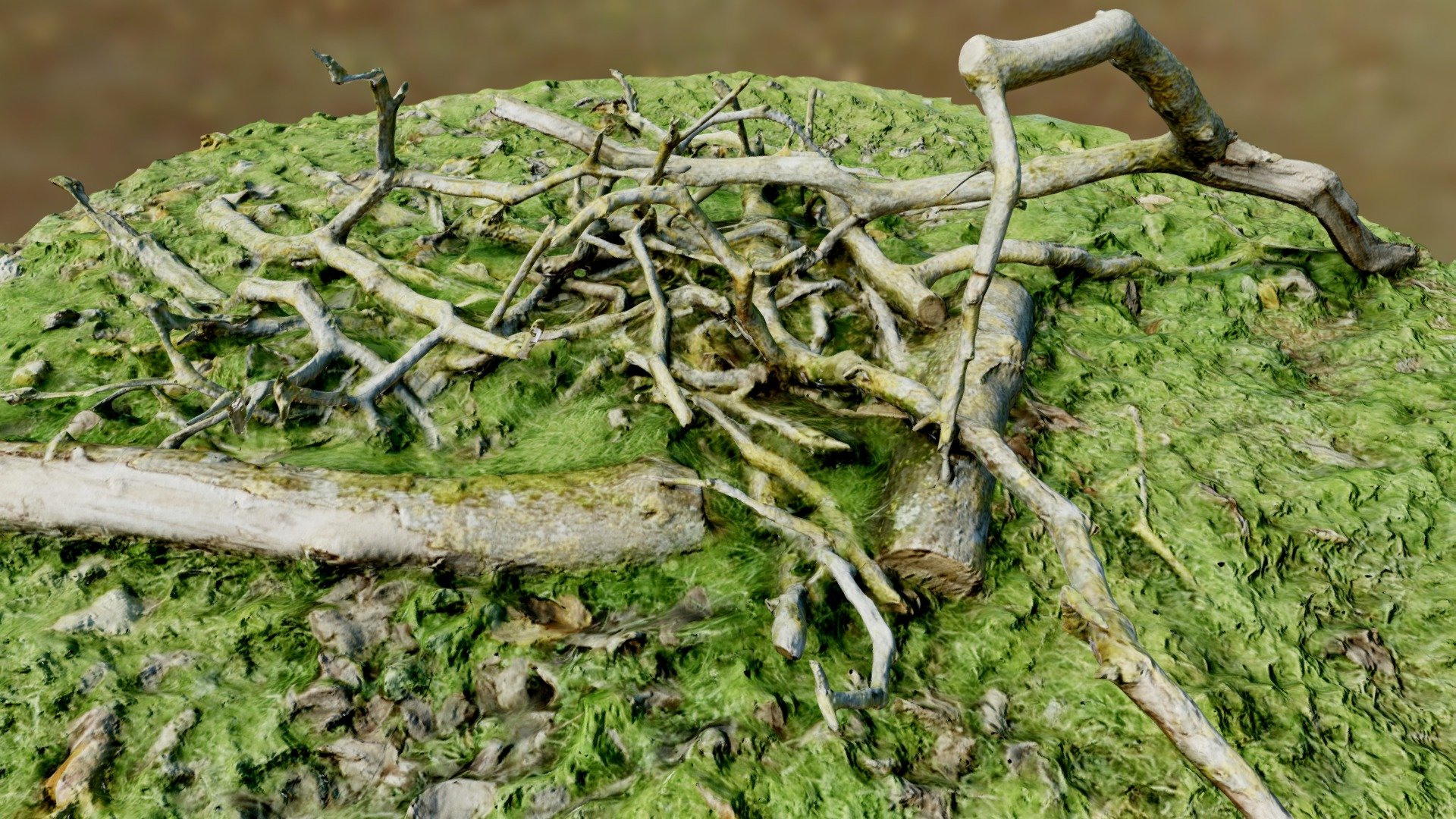 N021 Branches - 3D model by bimage [3ba5984] - Sketchfab