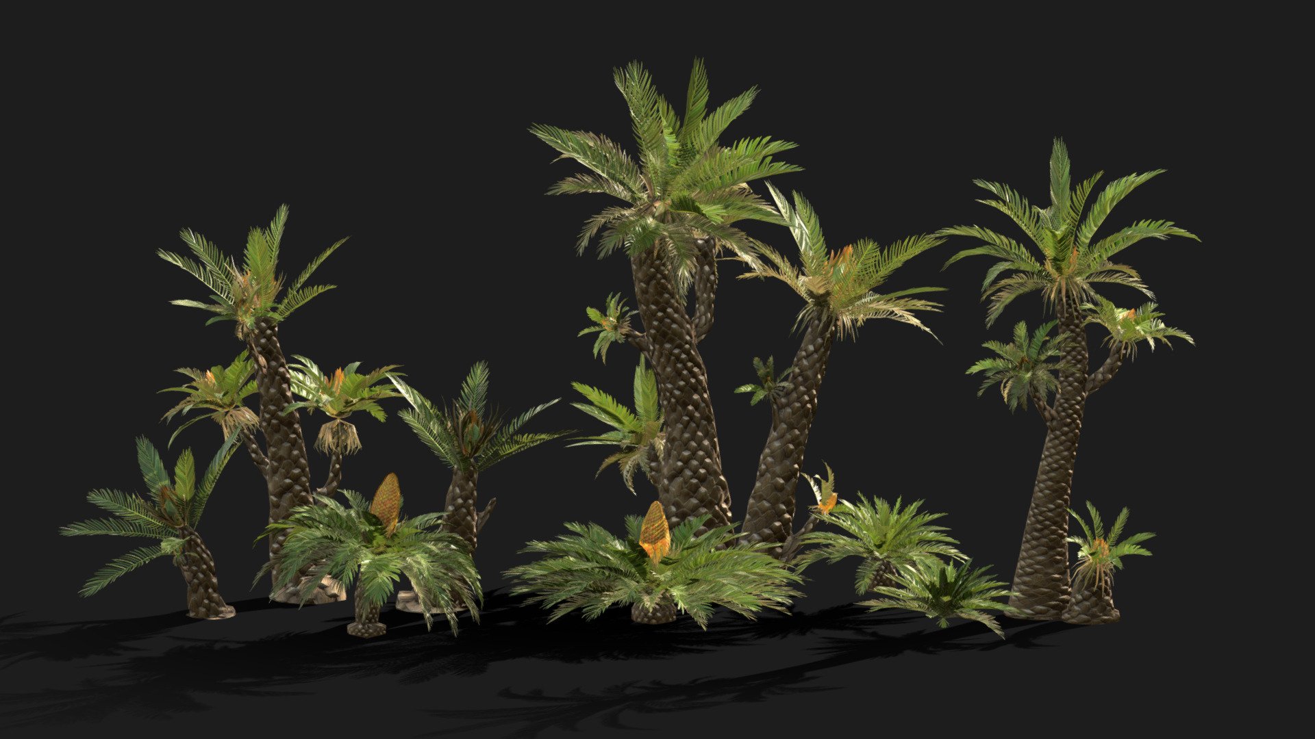 PALEO CYCAD TREE PACK - Buy Royalty Free 3D model by UJJWAL CHAUHAN ...