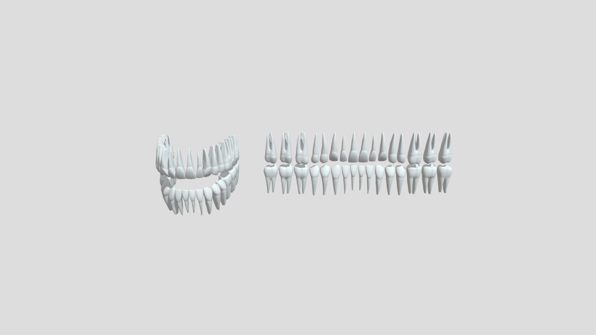 Teeth-fbx - 3D model by Andrés García (@brandstorm) [3bb76d7] - Sketchfab