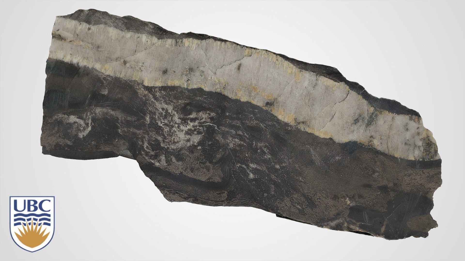 COP21A (Cantung Skarn) - 3D model by Nichole Moerhuis (UBC Geology ...