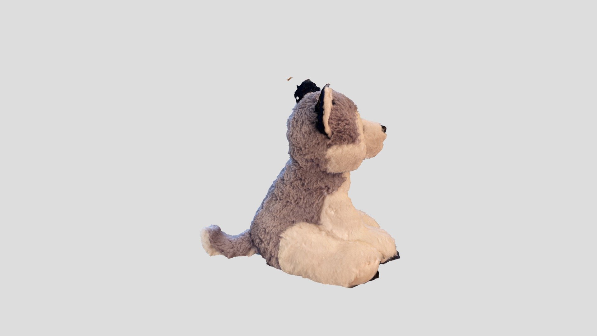 Husky Stuffy - Download Free 3D model by VirtualMeta [3bc5188] - Sketchfab